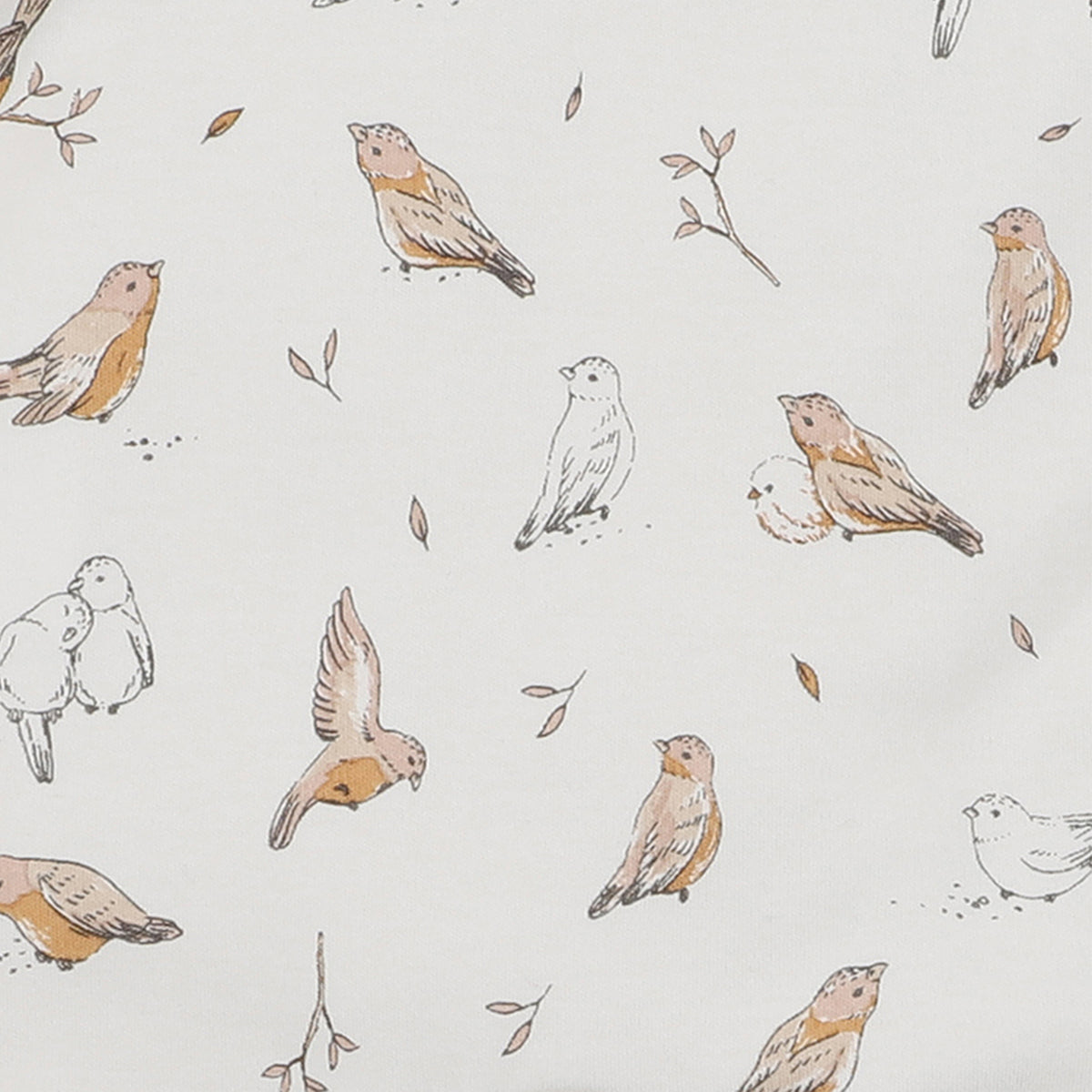 Bebe - Taylor Bird Beanie – Wrapped Cootamundra